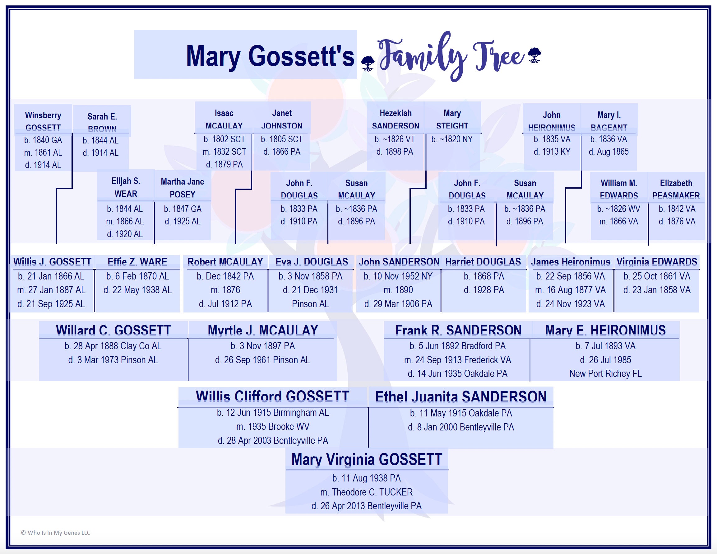 EDITABLE Family Tree Chart/diagram or Pedigree Chart Template - Five ...
