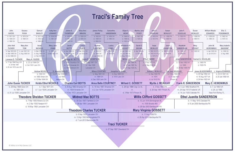 EDITABLE Family Tree Chart/diagram or Pedigree Chart Template - Six ...
