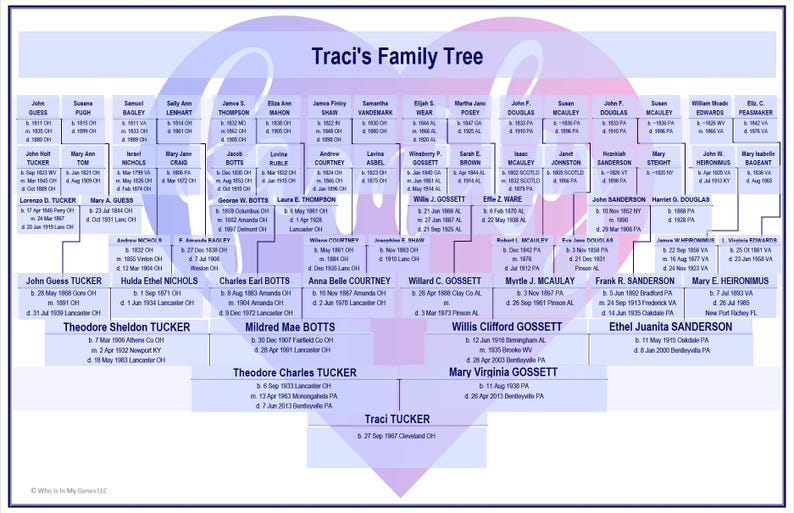 EDITABLE Family Tree Chart/diagram or Pedigree Chart Template - Six ...