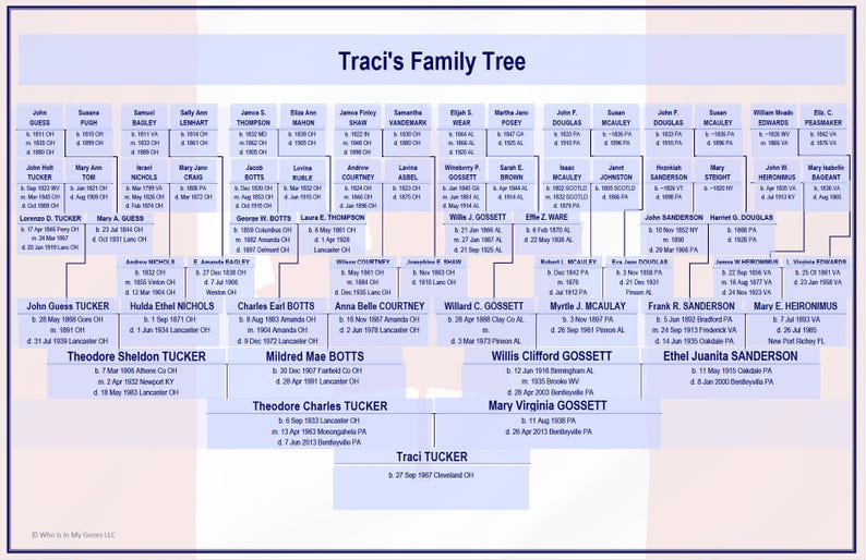 EDITABLE Family Tree Chart/diagram or Pedigree Chart Template - Six ...