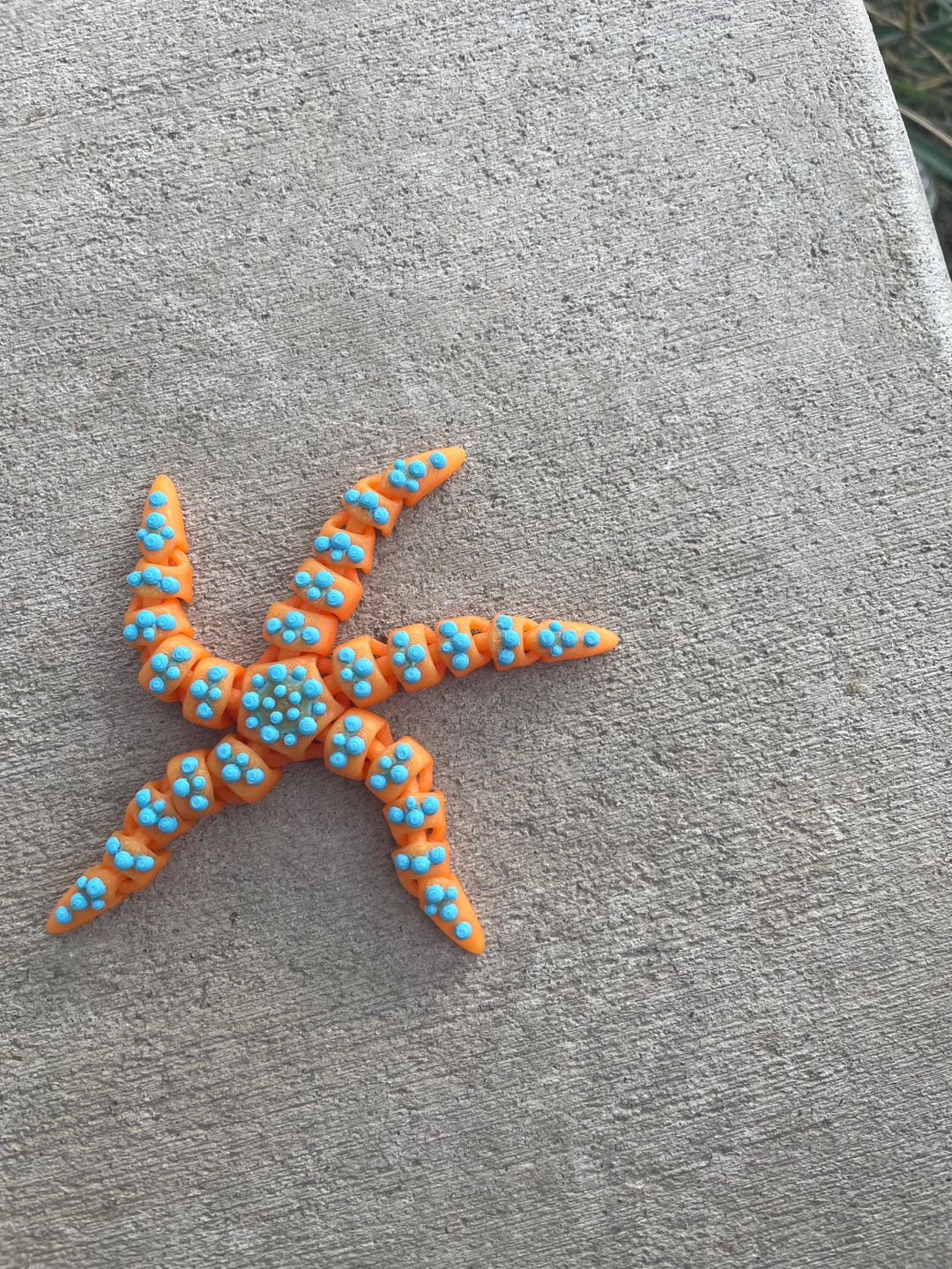 3d Printed Starfish - Etsy