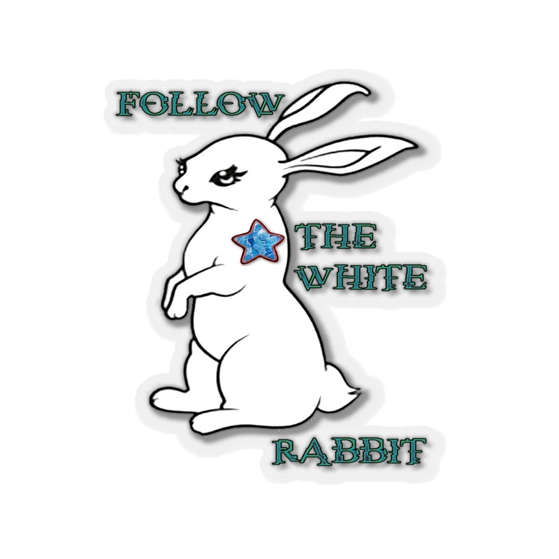 Follow the White Rabbit - Etsy