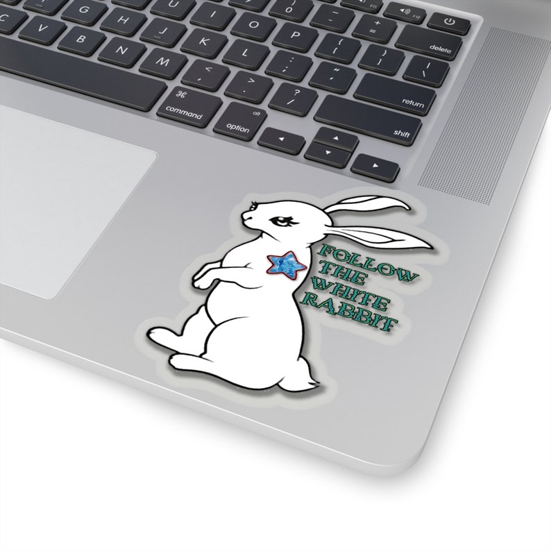 White Bunny Follow the Rabbit Matrix Rabbit Matrix Bunny Cute White ...