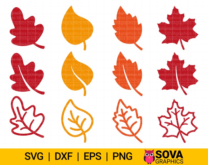 Autumn Leaves Svg, Fall Leaves Svg, Leaves Svg Bundle, Autumn Svg, Fall ...