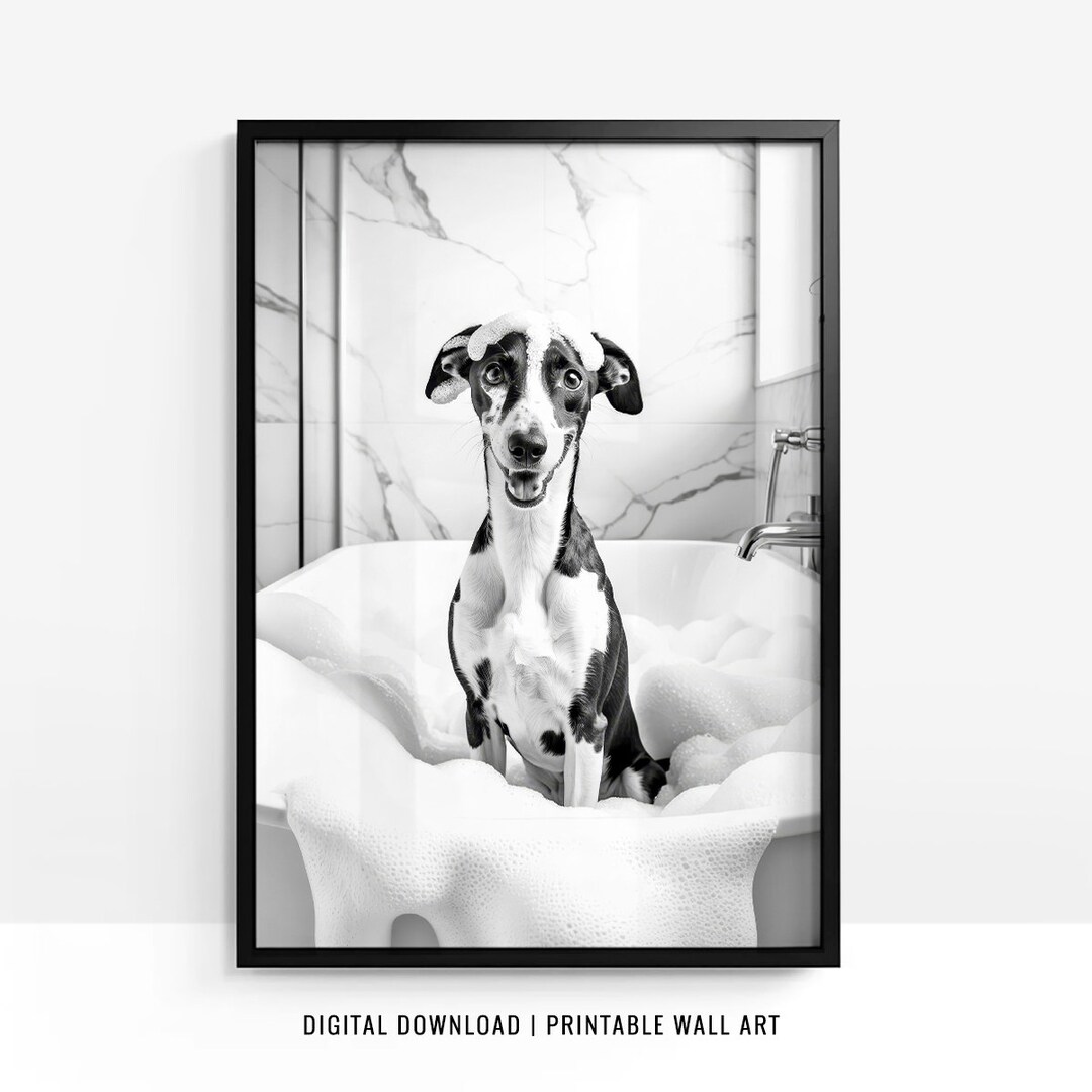 Whippet Wall Art, Whippet Poster, Funny Bathroom Decor, Whippet Print ...