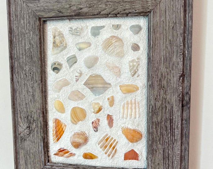 Coastal Eclectic Shell Wall Art, Myrtle Beach Seashell Beachy Home ...