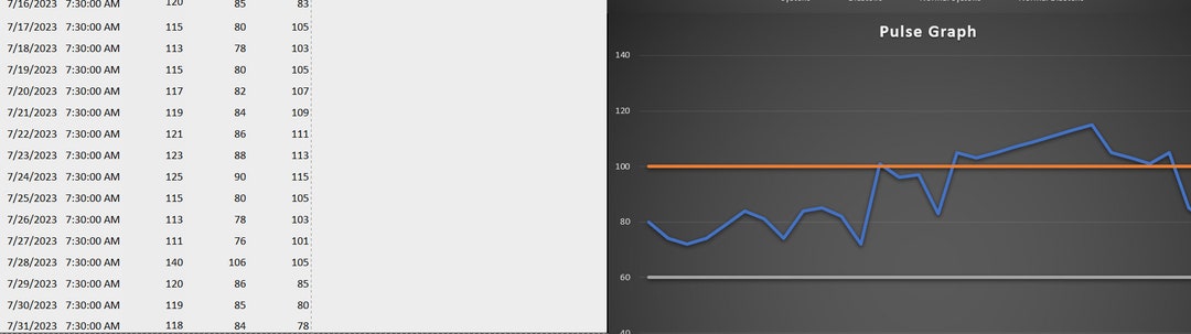 Blood Pressure and Pulse Tracker Excel Spreadsheet - Etsy