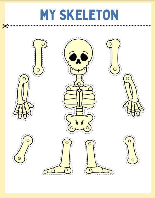 Human Anatomy Busy Book: A 41 PDF Pages ,fun Activities & Learning for ...