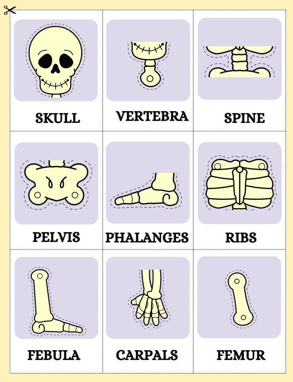 Human Anatomy Busy Book: A 41 PDF Pages ,fun Activities & Learning for ...