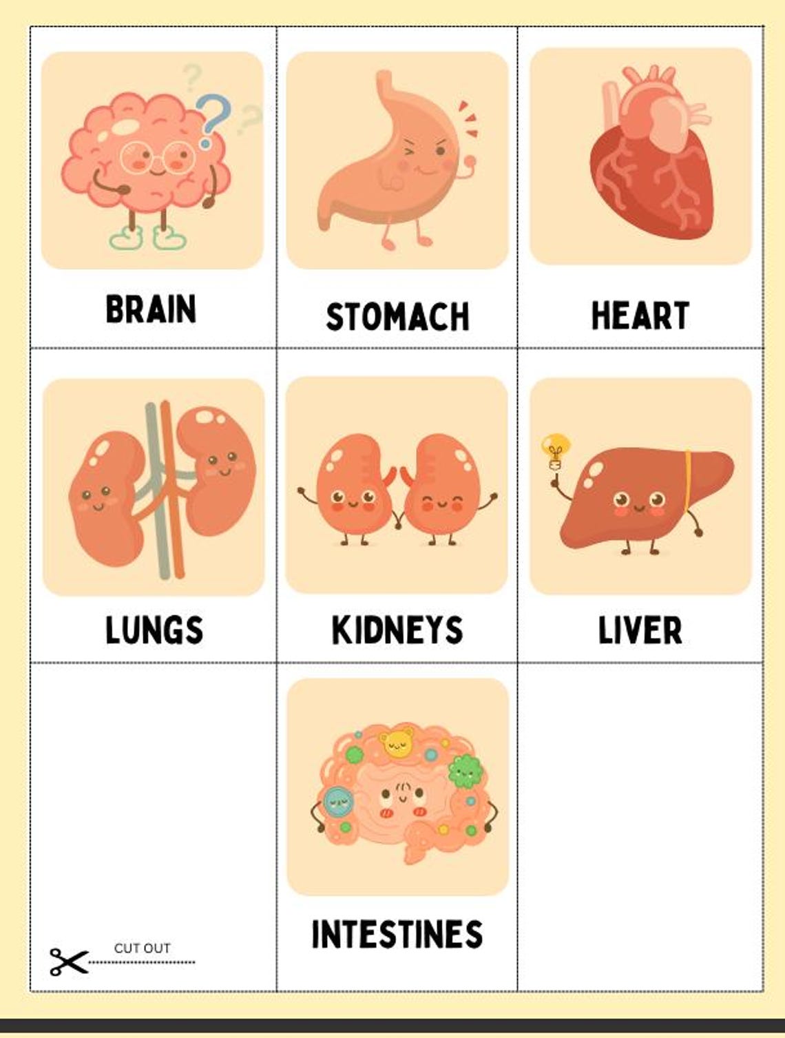 Human Anatomy Busy Book: A 41 PDF Pages ,fun Activities & Learning for ...