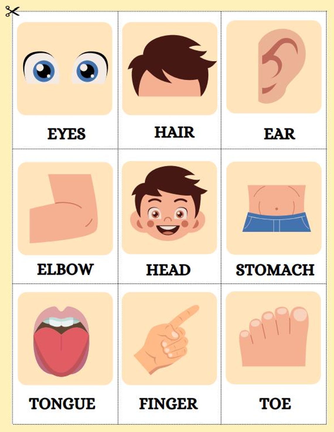 Human Anatomy Busy Book: A 41 PDF Pages ,fun Activities & Learning for ...