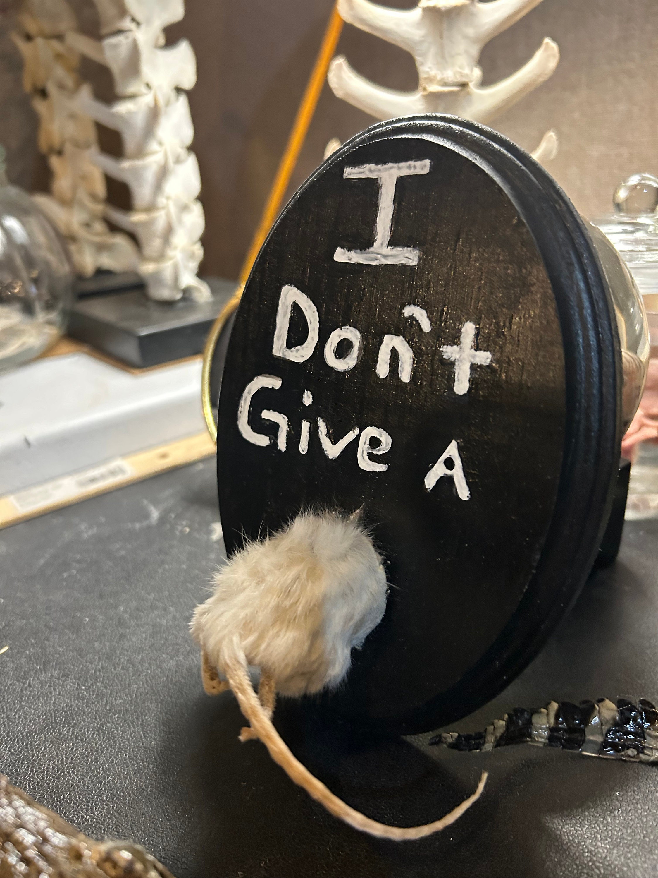 Rats Butt Taxidermy Sign - Etsy