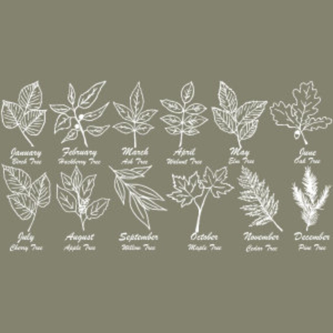 Cold Activated Color Changing Birth Month Plants Tumbler - Etsy