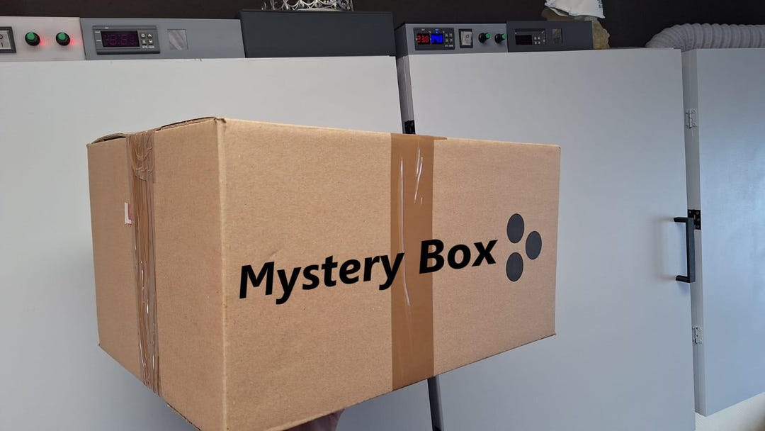 Mystery Box 3D Prints Give Yourself a Surprise - Etsy