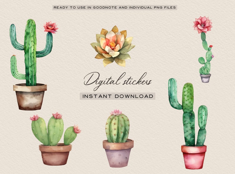 Cactus Digital Stickers: Goodnotes Planner, iPad Stickers (PNG ...