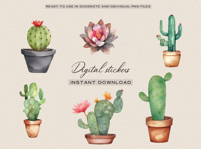 Cactus Digital Stickers: Goodnotes Planner, iPad Stickers (PNG ...