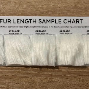Shave Chart - Etsy