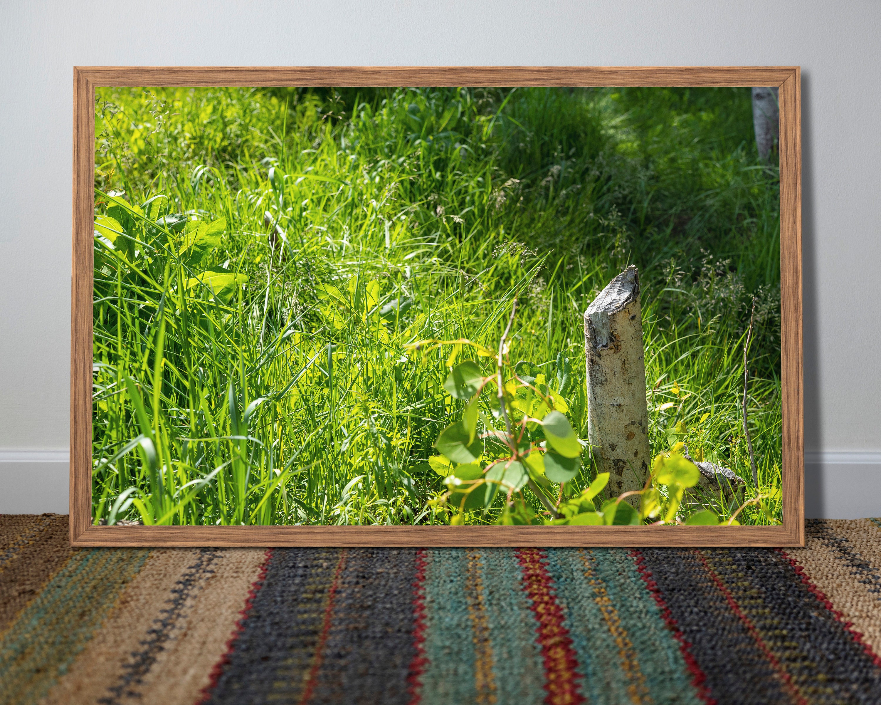 Grass Landscape Printable Photography, Instant Download, Grasslands of ...