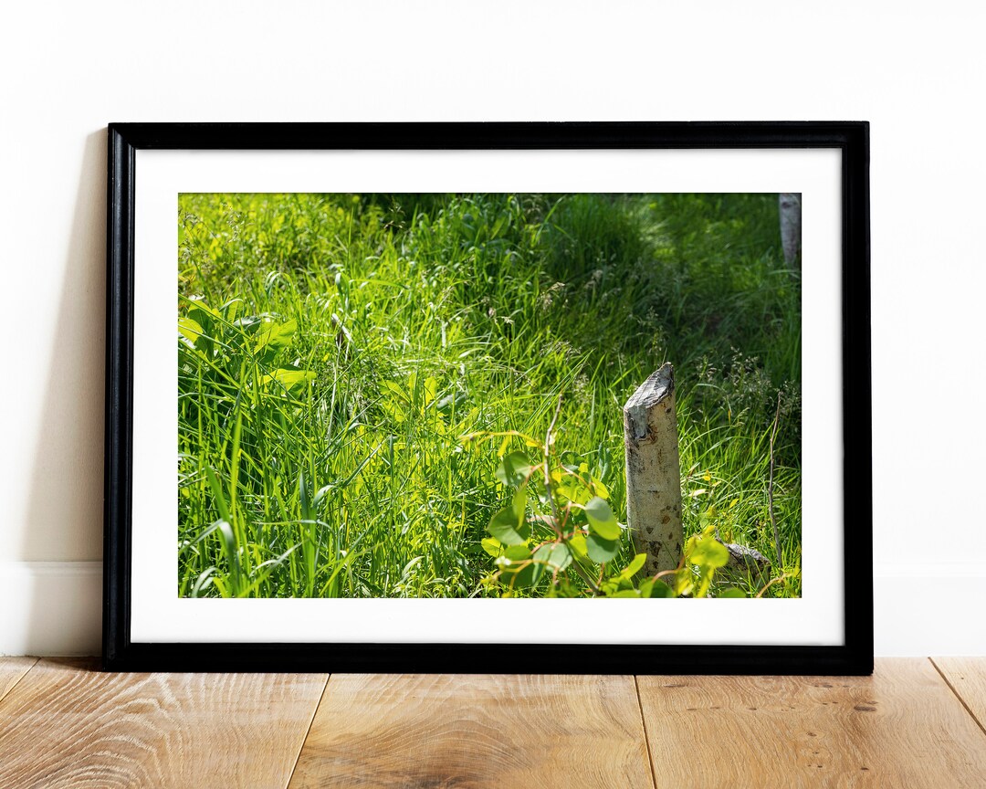 Grass Landscape Printable Photography, Instant Download, Grasslands of ...