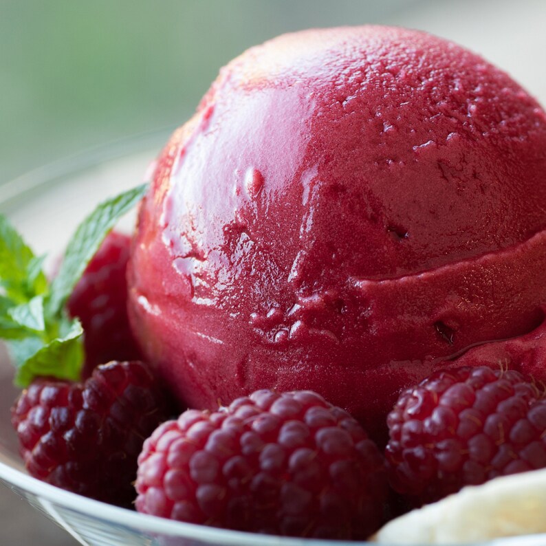 Homemade Raspberry Sorbet Recipe: Step-by-step Guide (PDF Download) - Etsy