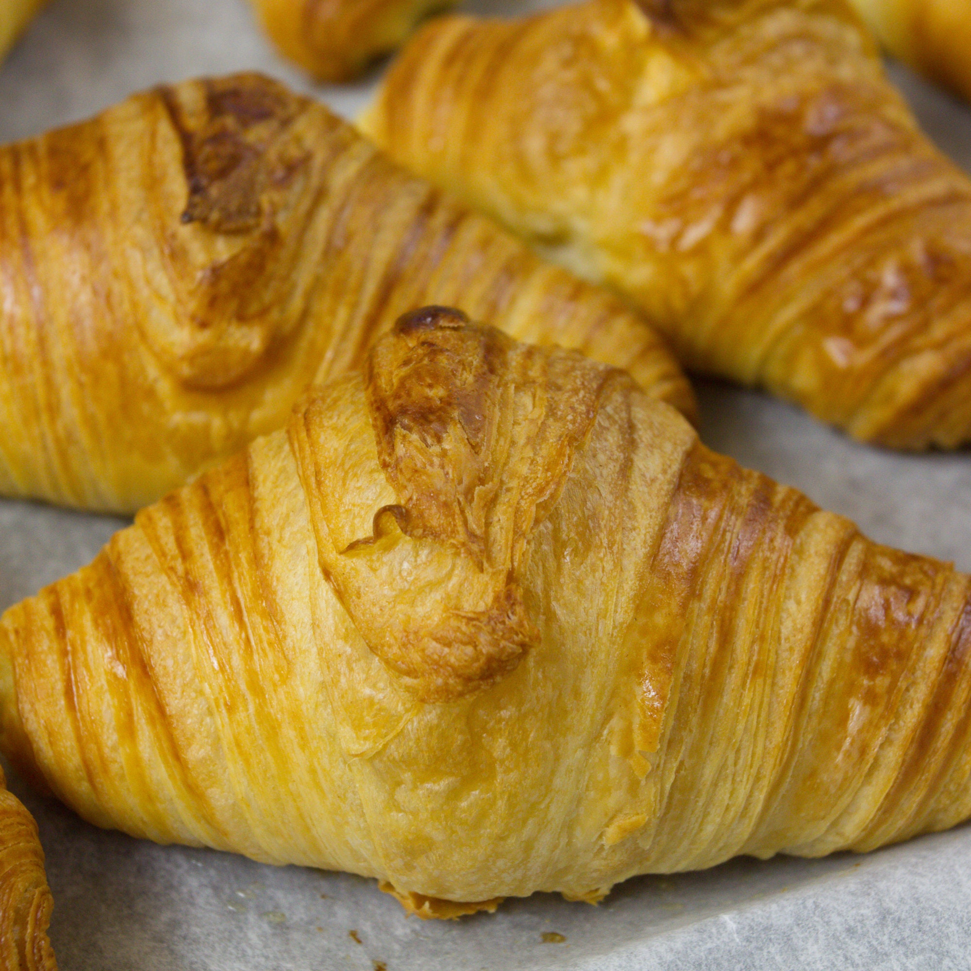 Petite Indulgence: Mini Croissants Recipe - Irresistible Bite-sized French Pastries! - Etsy