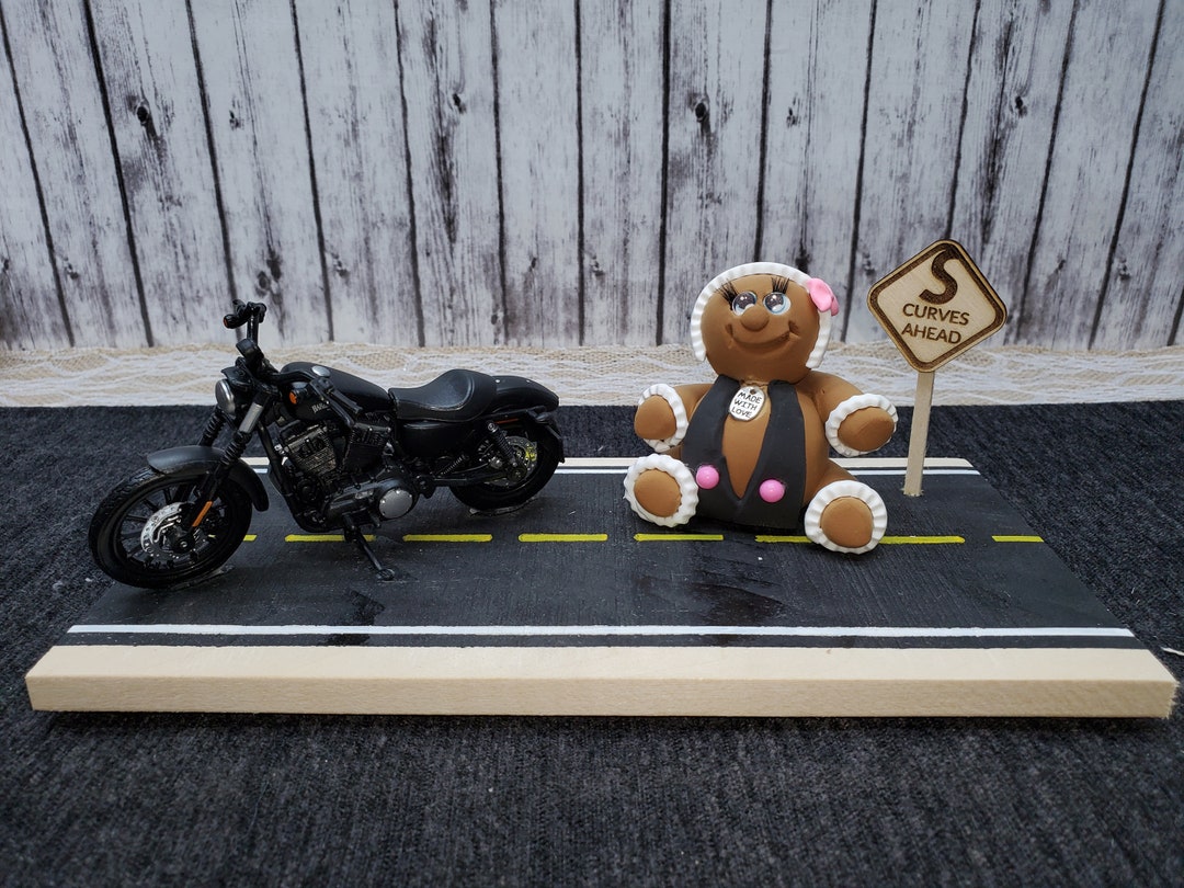 2014 Sportster Iron 883 Harley Davidson Motorcycles With Female Clay ...