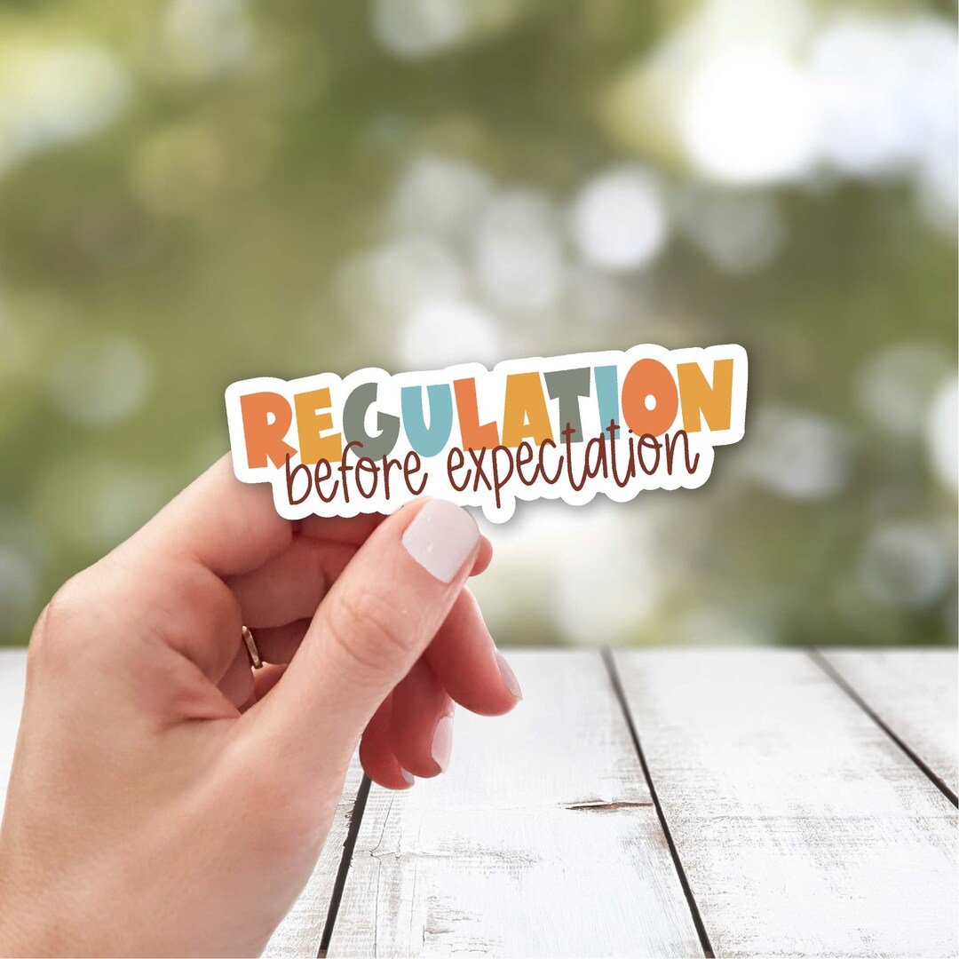 Regulation Before Expectation Sticker | Special Education Teacher ...