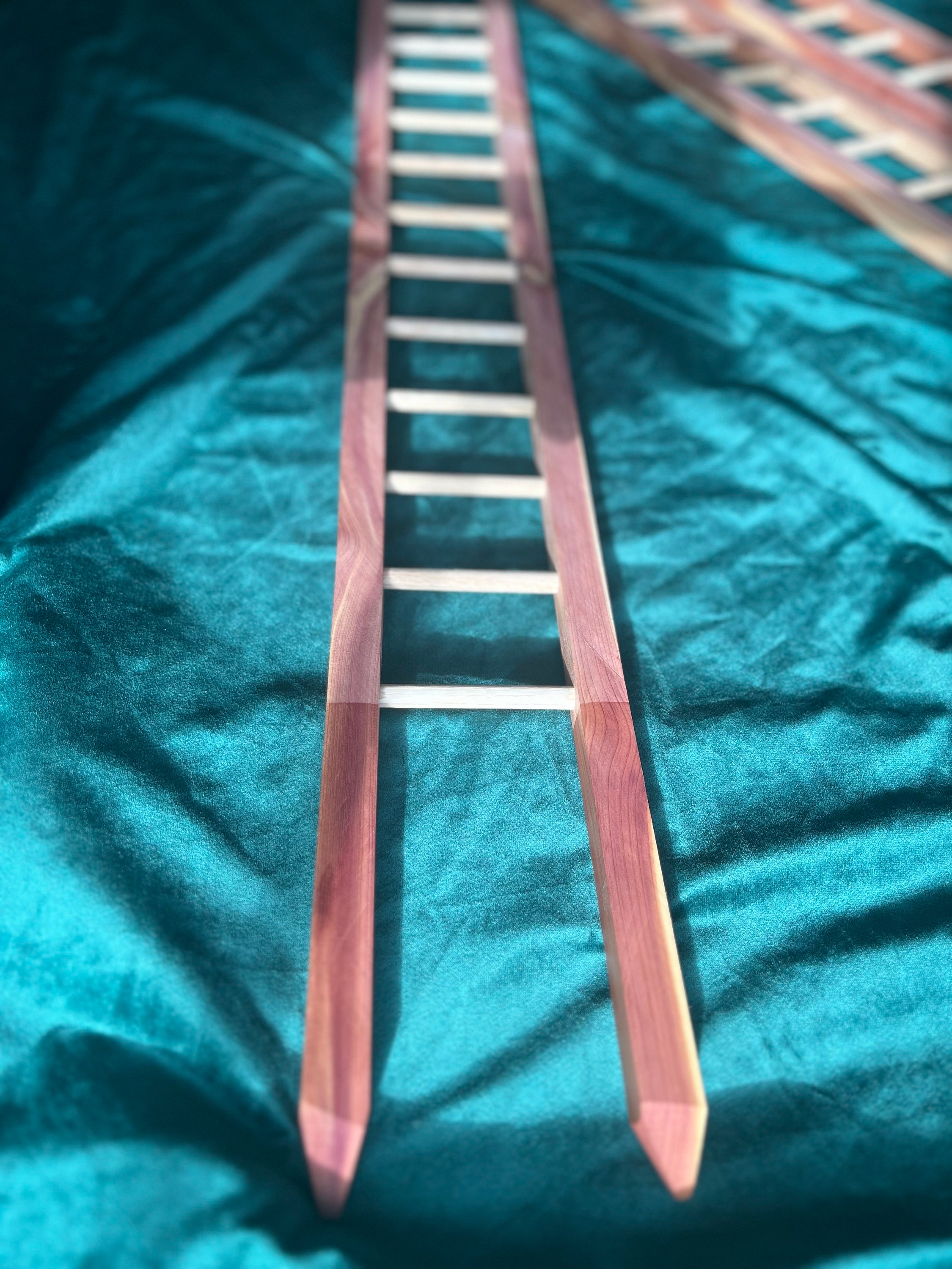 Plant Ladder CUSTOM DIMENSIONS Moss Pole Alternative Plant Trellis for ...
