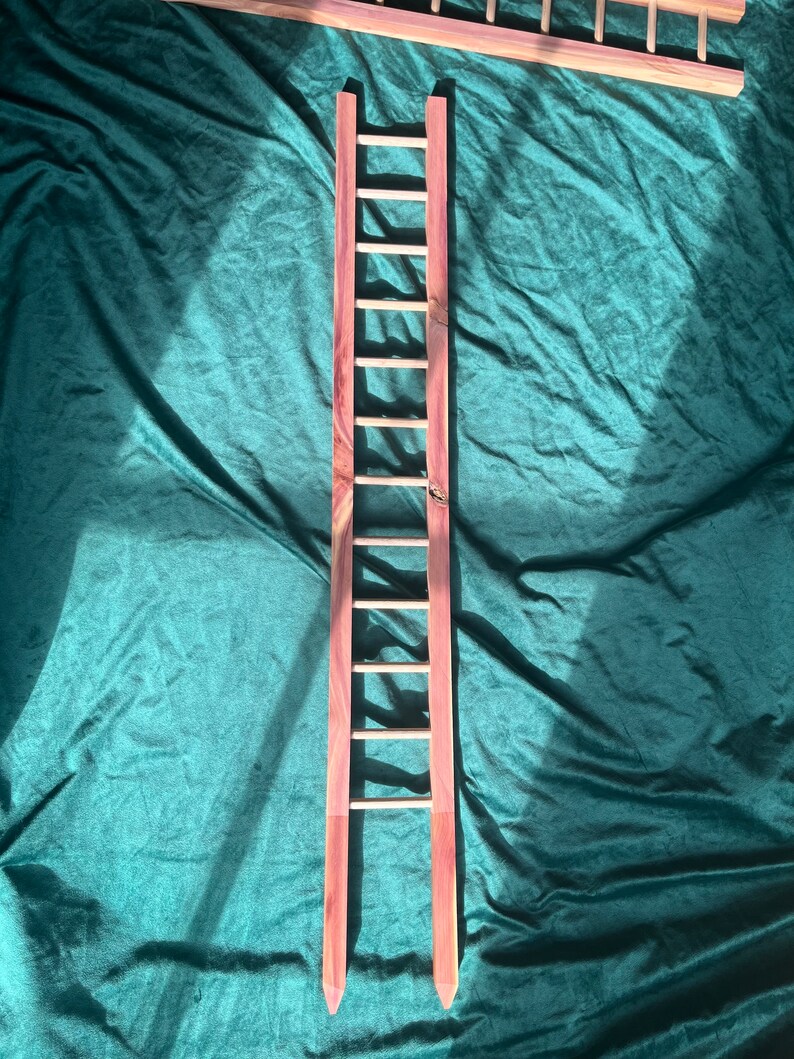 Plant Ladder CUSTOM DIMENSIONS Moss Pole Alternative Plant Trellis for ...