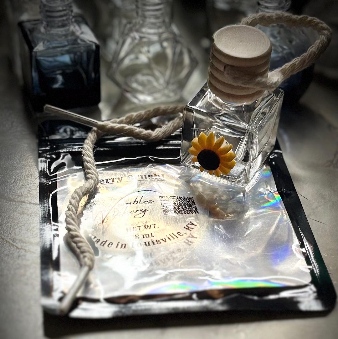 Car Diffuser | Hanging Scent Diffuser | Intention Freshener for Cars ...