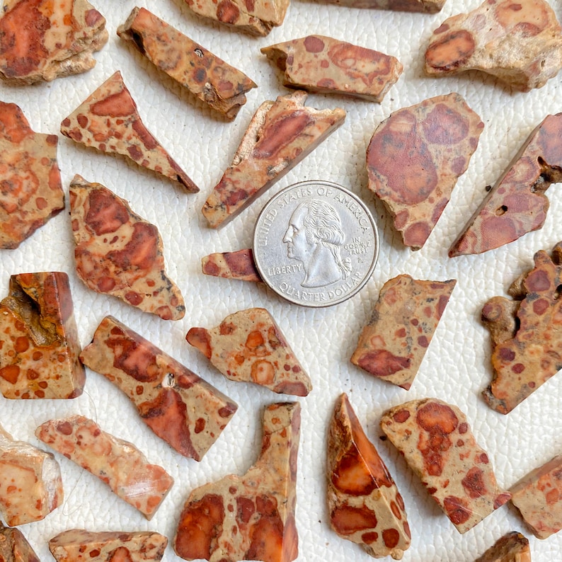 Asteroid Jasper Chips Asteroid Jasper Rough Gemstone - Etsy