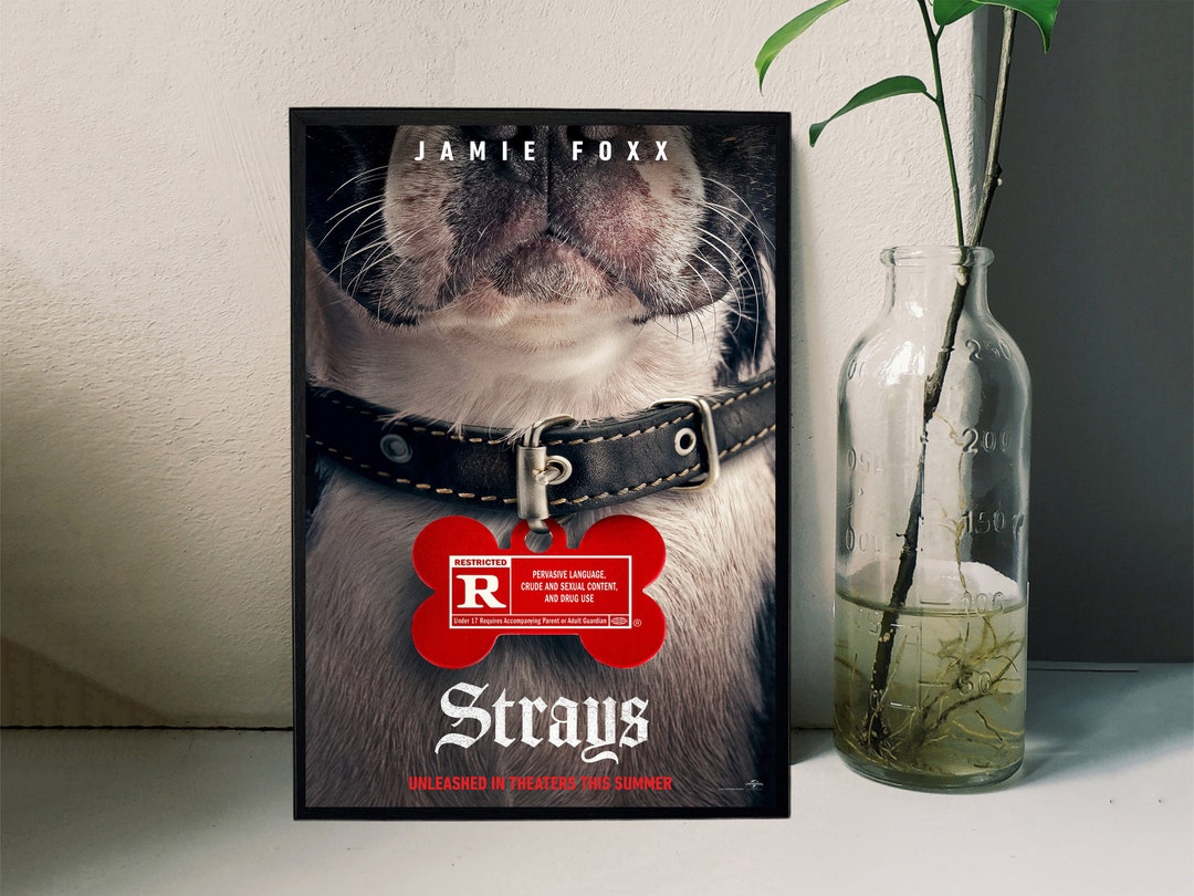 Strays Movie Poster Film/room Decor Wall Art/poster - Etsy