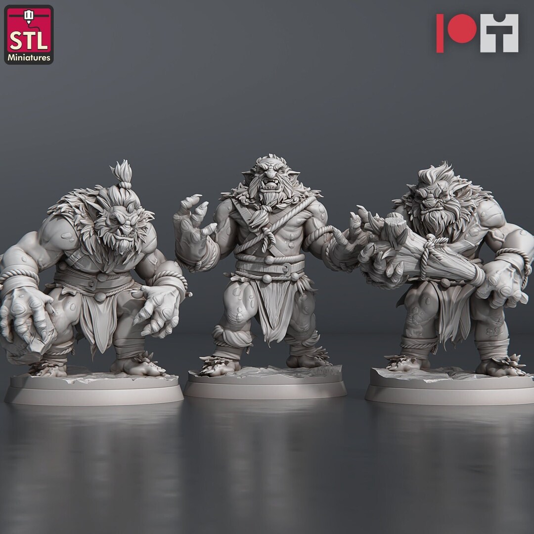 Trolls Set Dungeons and Dragons 3D Premium Custom Miniature - Etsy