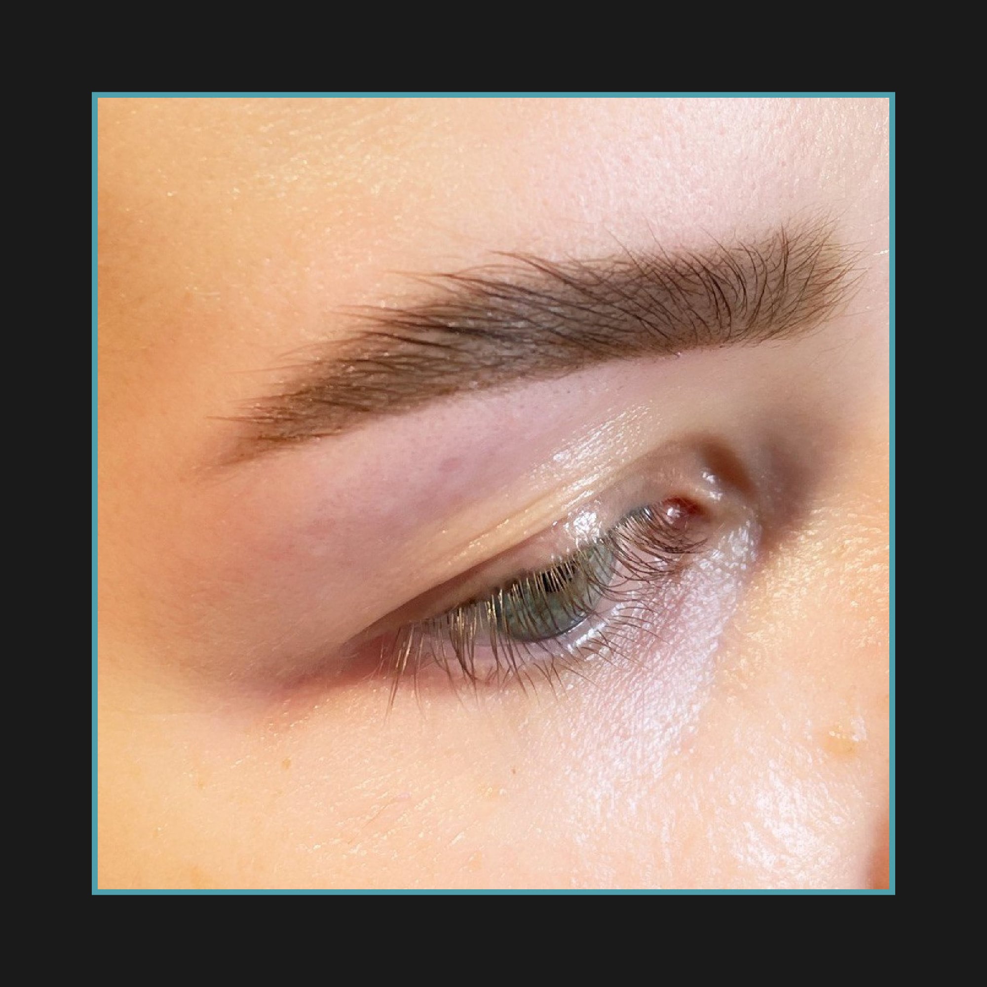 Eyebrow Master Base Course Tutorial for Beginners and Professionals PDF ...