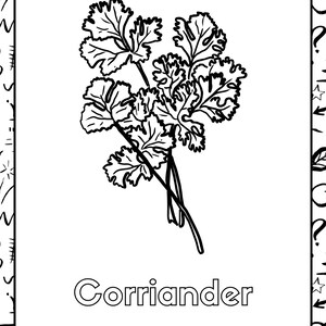 Printable Colouring Pages for Children - 13 Pages - Vegetables - Etsy