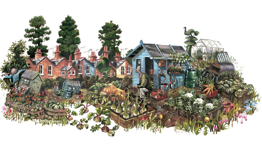 Limited Edition Print of Waiting in an Allotment, Gardening, Vegetables ...