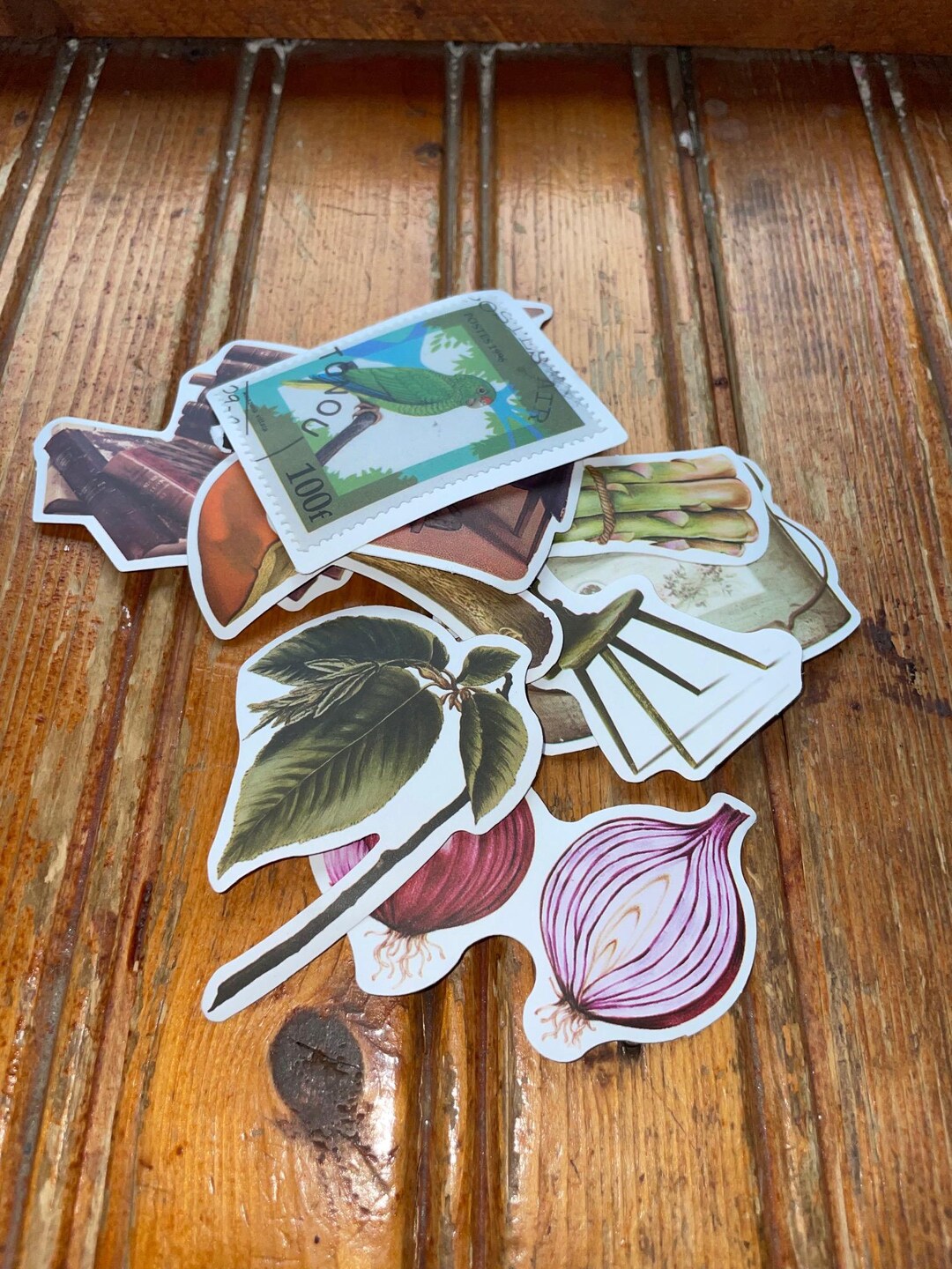Vintage Botanical Stickers - Waterproof Handmade Sticker Pack - Etsy