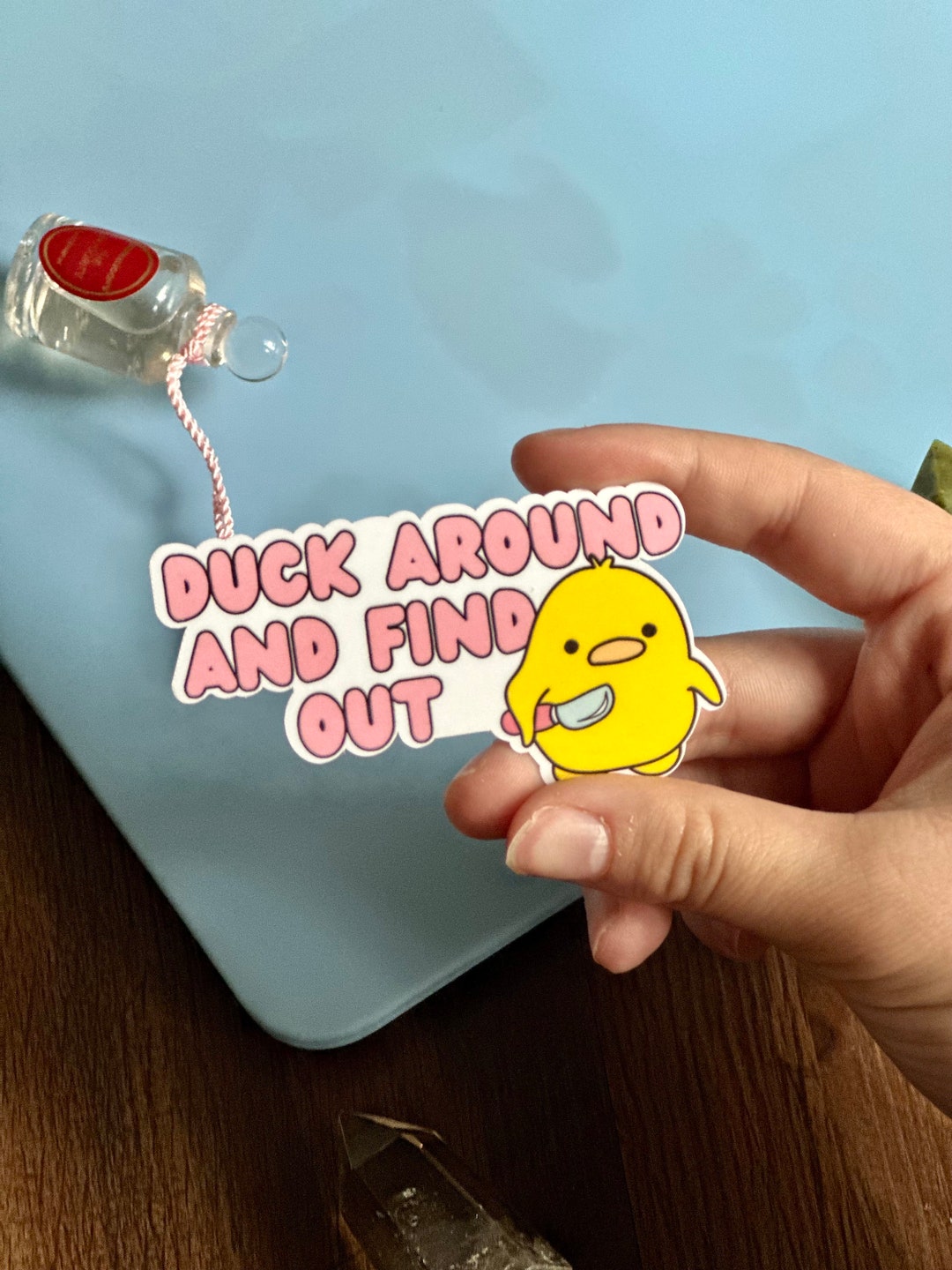 Duck Around and Find Out Sticker | Waterproof Vinyl Decal - Etsy
