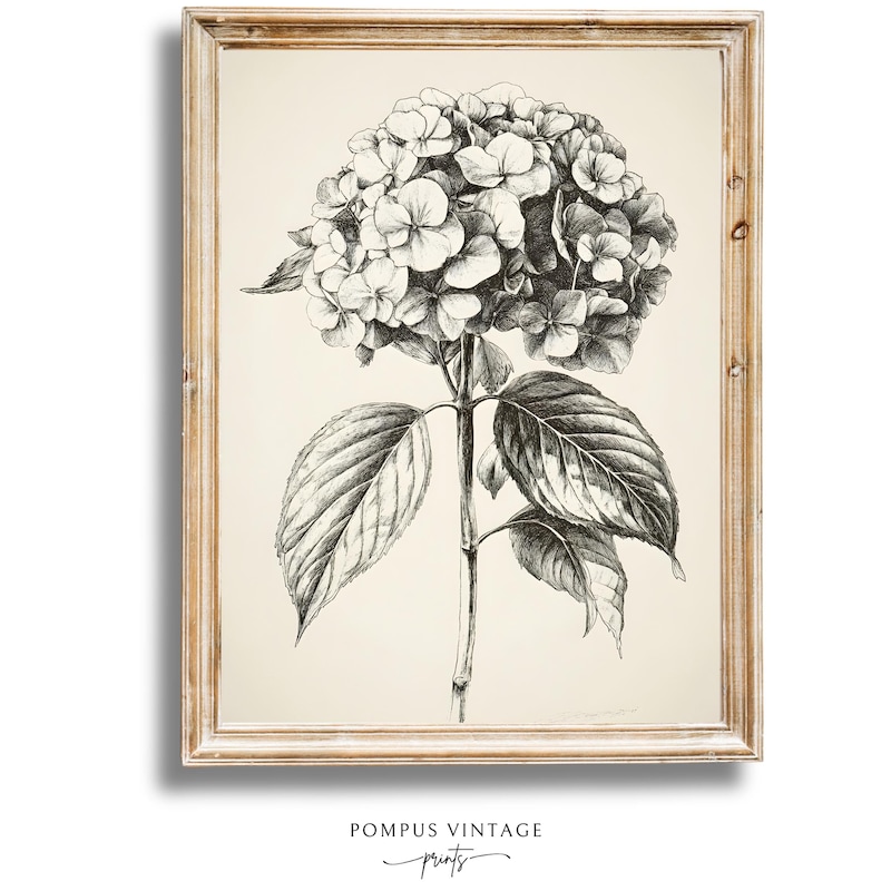 Pencil Drawings Antique - Etsy UK