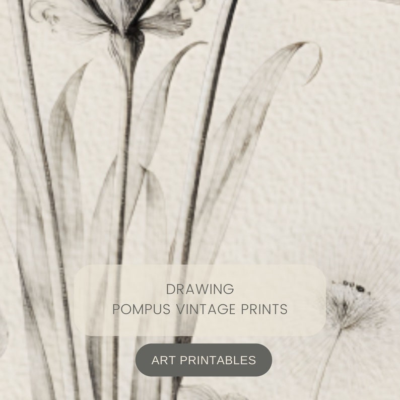 Botanical Drawing Vintage Flower Art Botanical Sketch Art Print Neutral ...