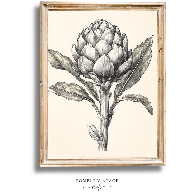 French Artichoke Prints - Etsy