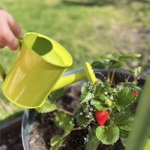 Kids Gardening Set W/ 2 Garden Tools, Watering Can, 3 Different Seeds ...