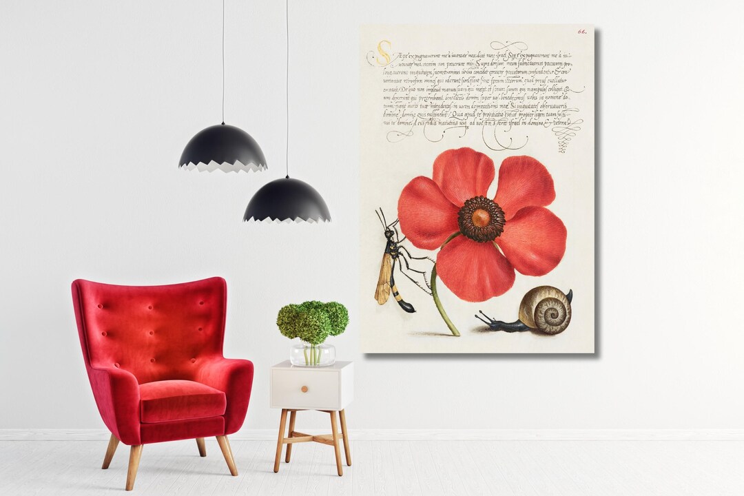 Hoefnagel Calligraphy Canvas Print: Poppy, Snail, Crane Fly - Etsy