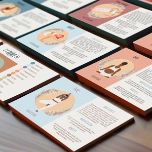 72 Yoga Poses Cards | Beginner to Advanced, Editable in Canva ...