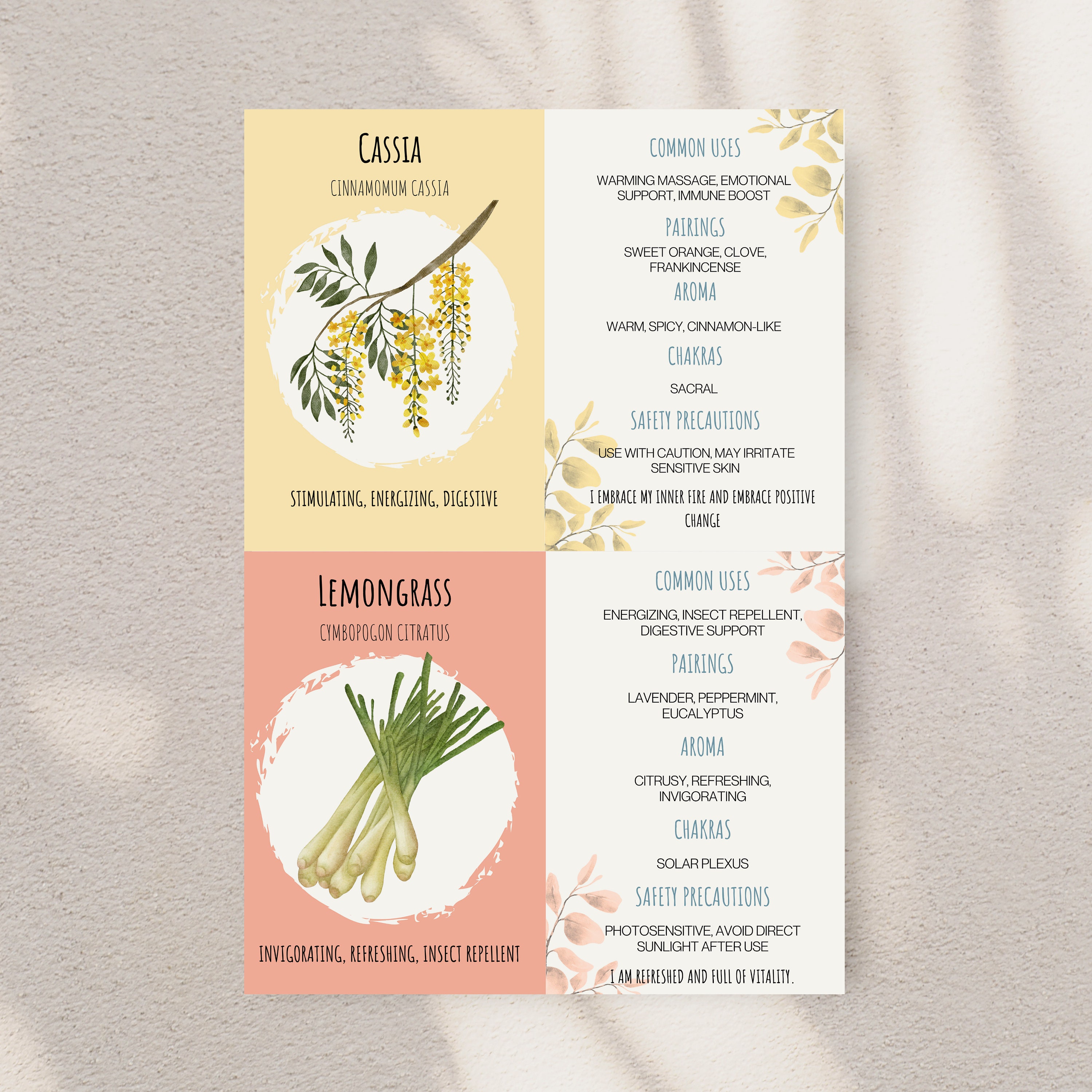 61 Essential Oils Cards Printable Aromatherapy Card Collection Editable ...