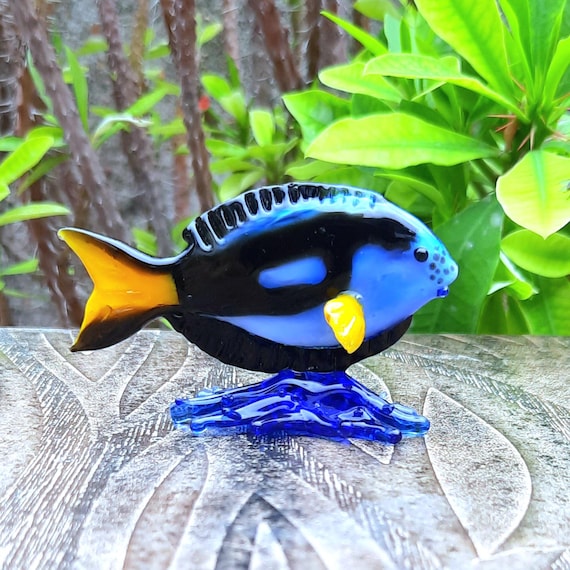 Blue Hippo Tang Fish