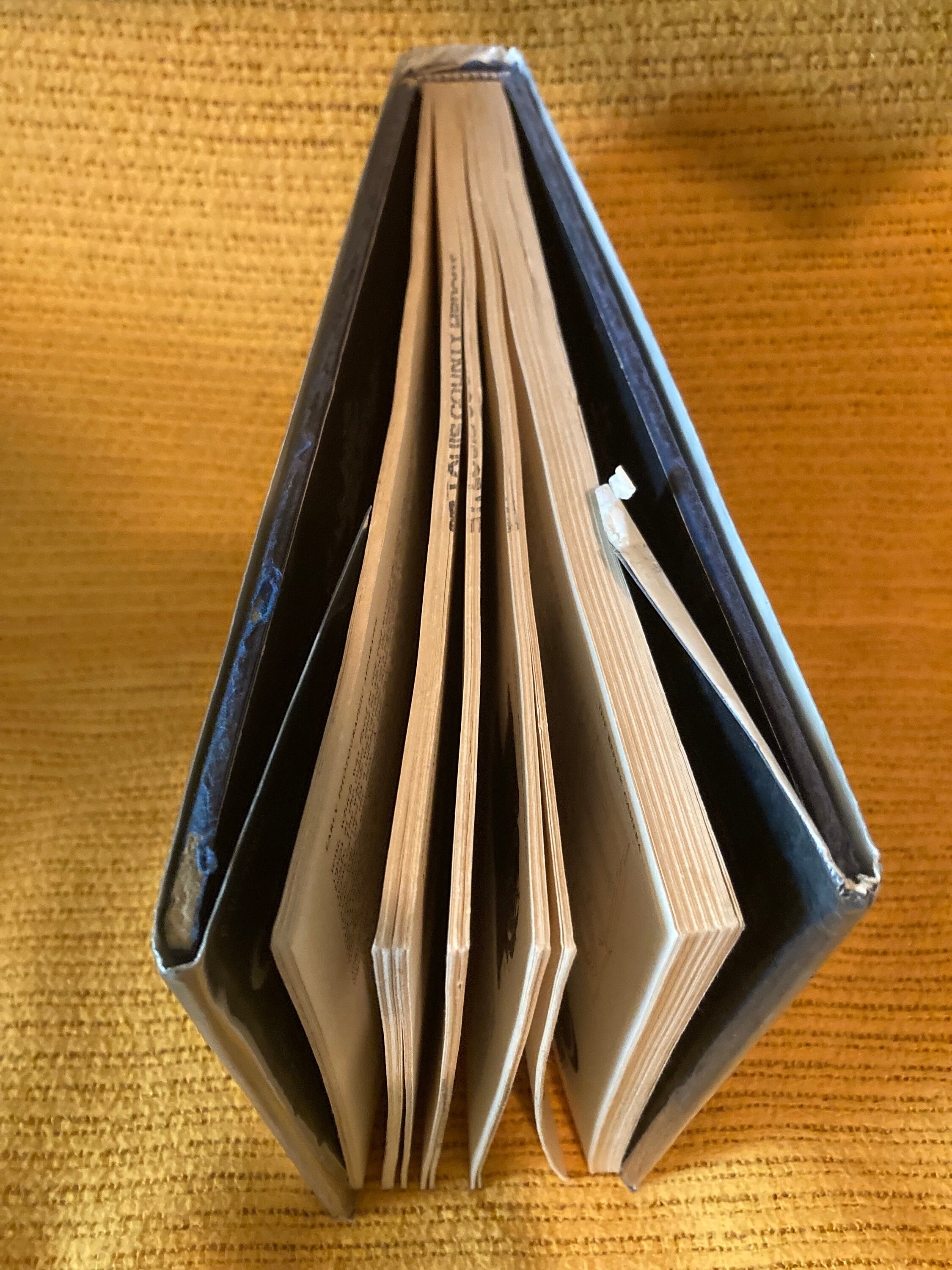 Cameras: From Daguerreotypes to Instant Pictures, Hardcover, Book ...