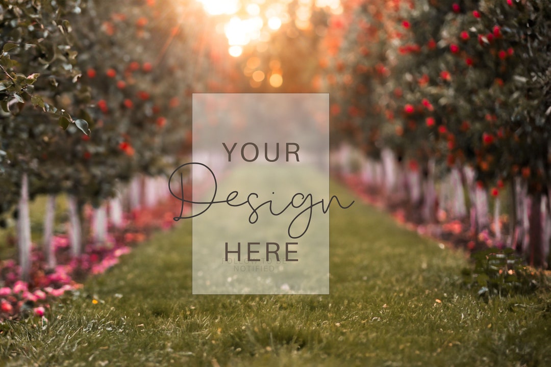 Apple Orchard Backdrop, Fall Background, Digital Backdrop, Bokeh Golden ...
