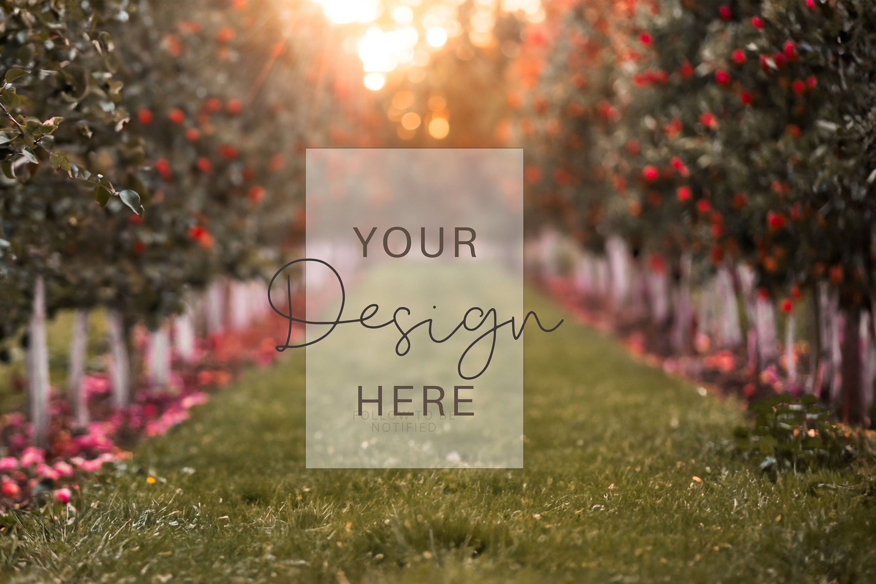 Apple Orchard Backdrop, Fall Background, Digital Backdrop, Bokeh Golden ...