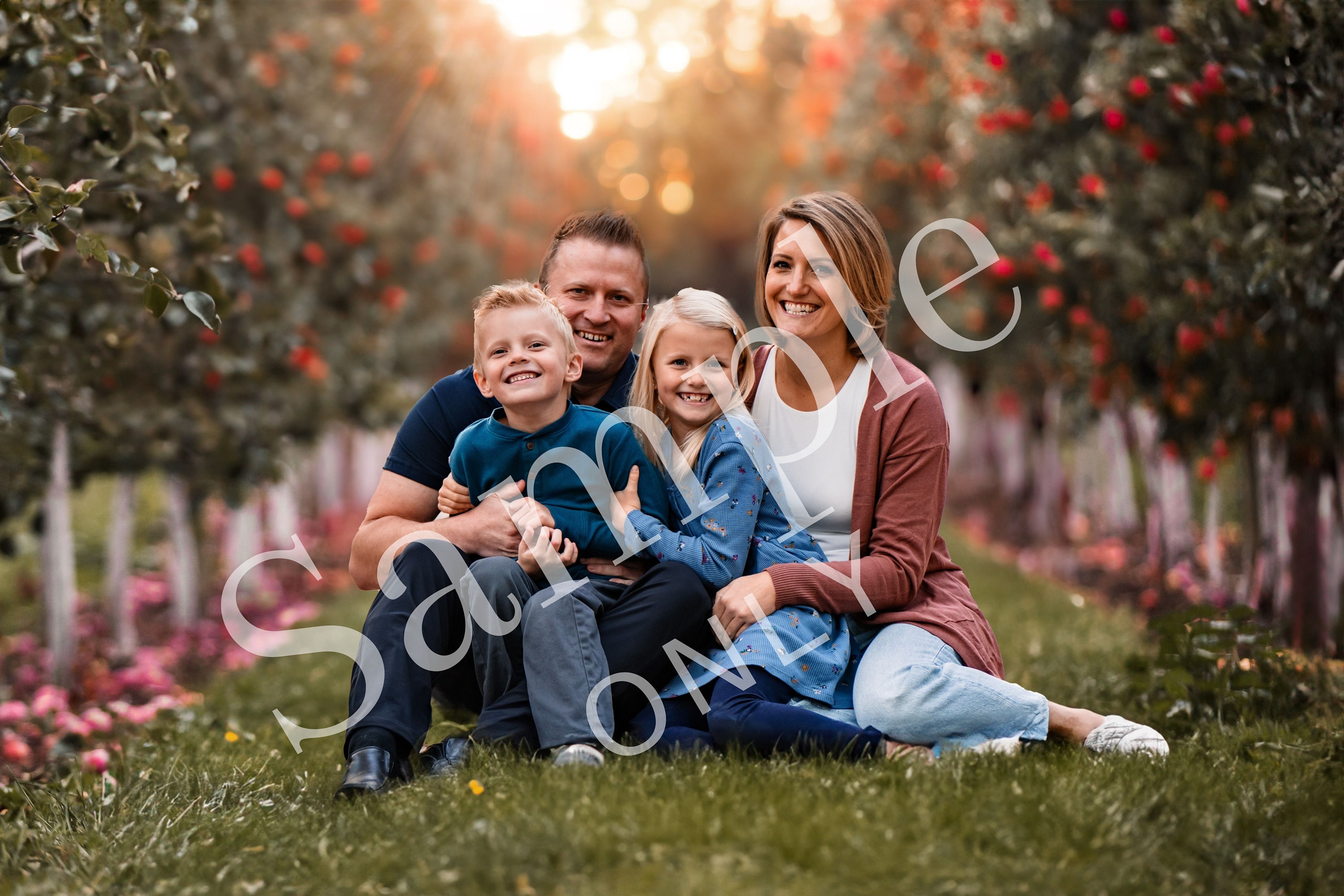 Apple Orchard Backdrop, Fall Background, Digital Backdrop, Bokeh Golden ...